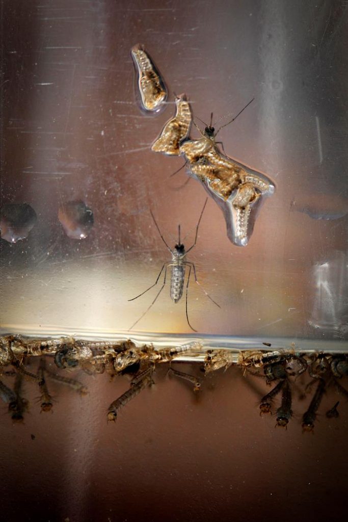 Oposição quer esclarecimento do ministro da Saúde sobre combate ao ...