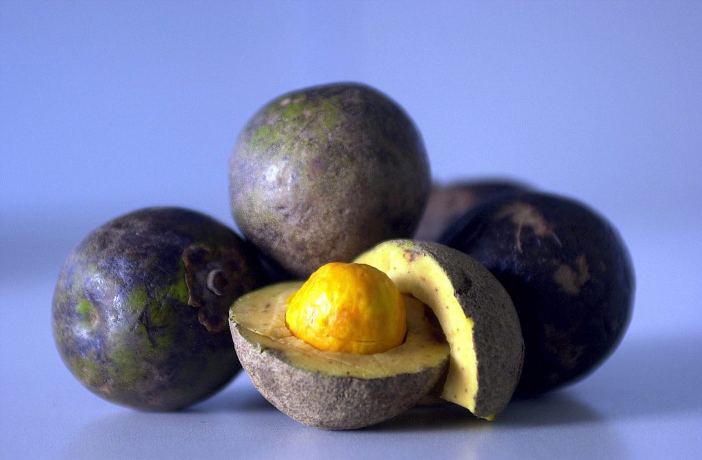 Picolé de frutas nacionais ajuda a fortalecer economia local | Jovem Pan