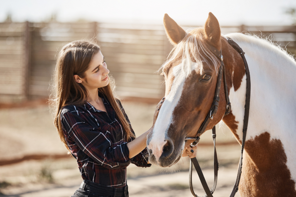 Saiba o que é necessário para ter um cavalo como animal de estimação ...