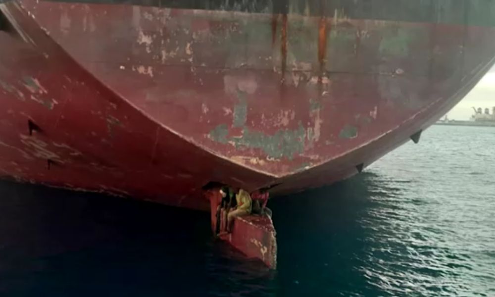 Imigrantes viajam 11 dias agachados em leme de navio para chegar à ...