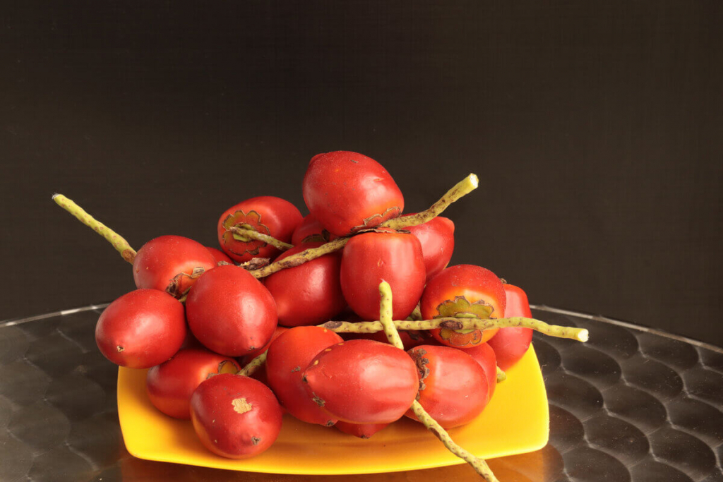 Aprenda a preparar uma deliciosa receita com pupunha | Jovem Pan