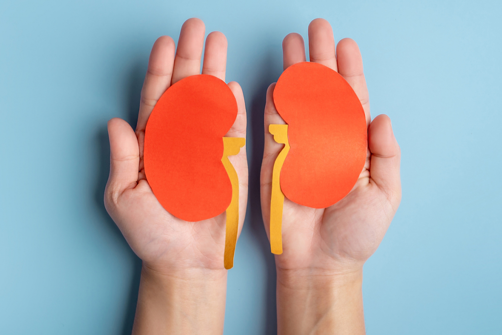 Pedras nos rins: conheça as causas e veja como prevenir | Jovem Pan