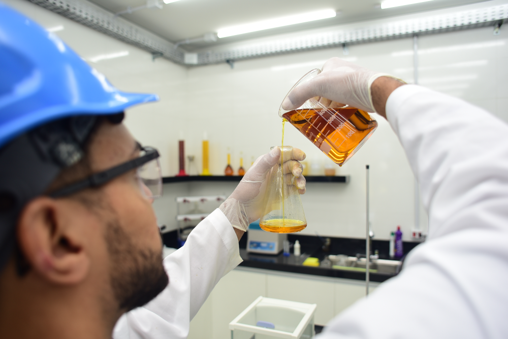 Grupo BBF completa 15 anos com projeção de crescimento de 36% em 2023 ...